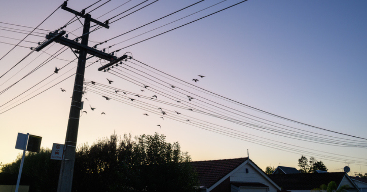 Coverage Highlight: Utility/Service Line – Howard Hanna Blog